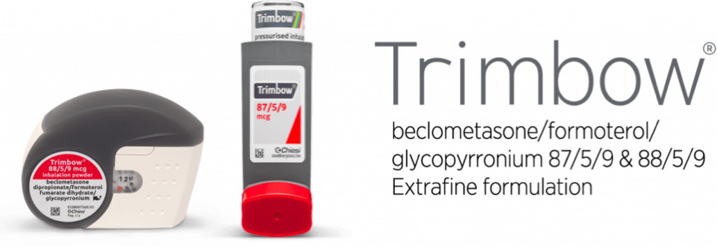 Chiesis Product Portfolio For Asthma And Copd I Chiesi Air